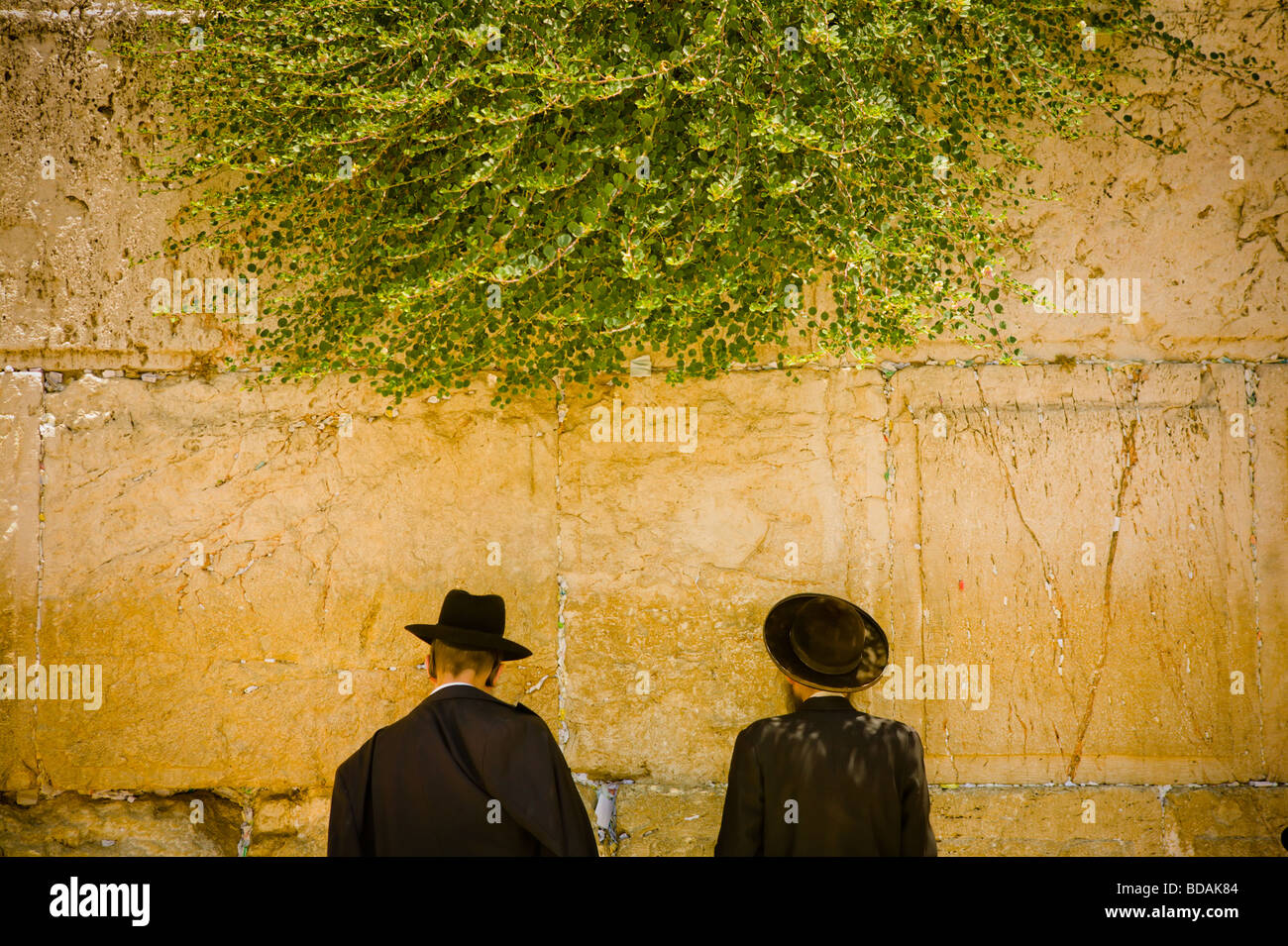 Two men praying at the wailing wall in Jerusalem Stock Photo - Alamy