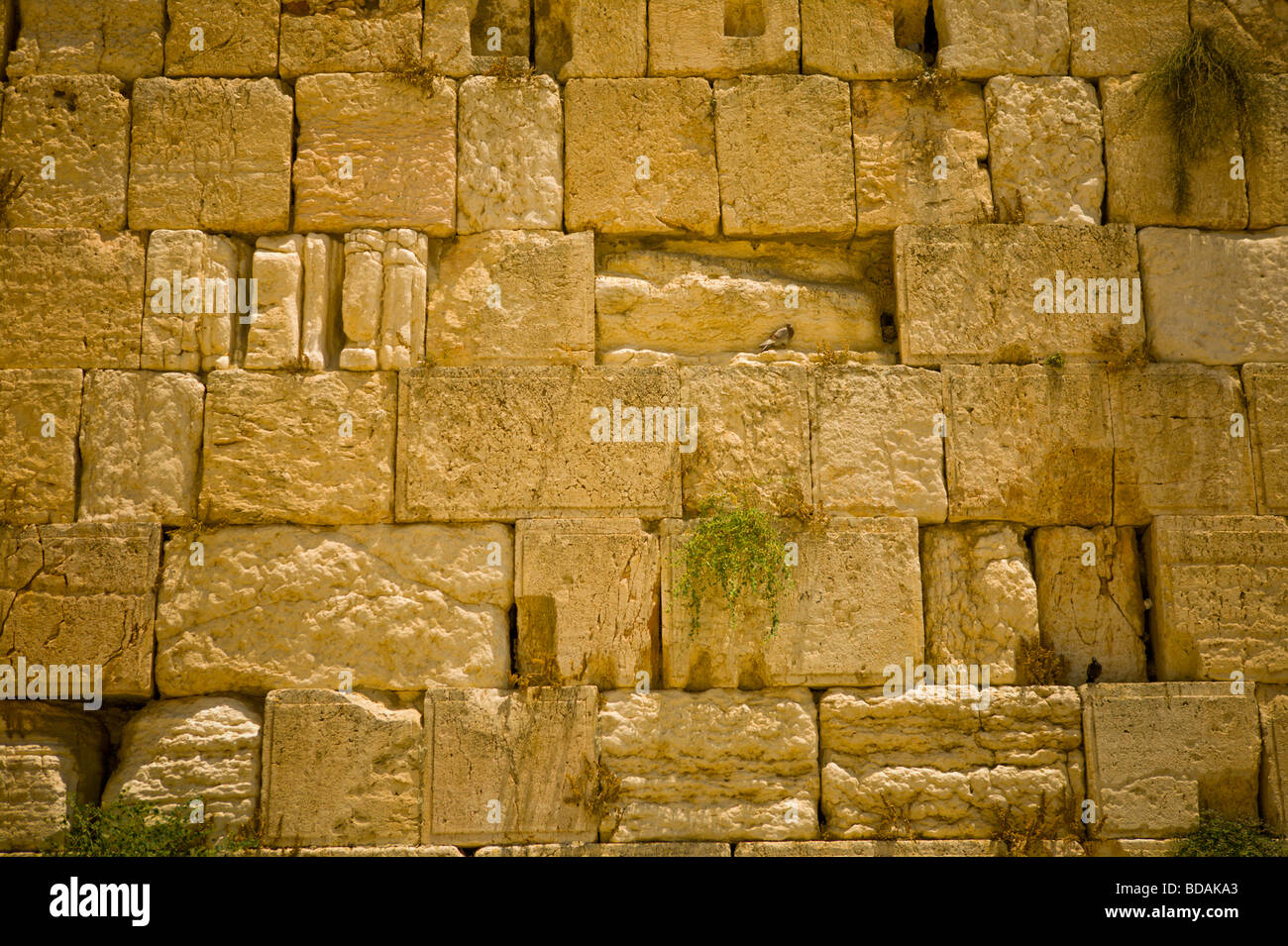 The wailing wall in jeruslaem hi-res stock photography and images - Alamy