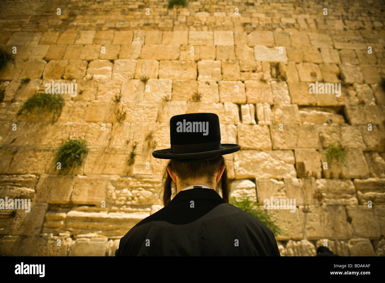 Man with peyos praying at the wailing wall in Jerusalem Stock Photo - Alamy