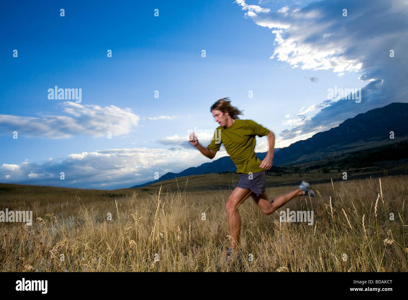 Bcmp hi-res stock photography and images - Alamy