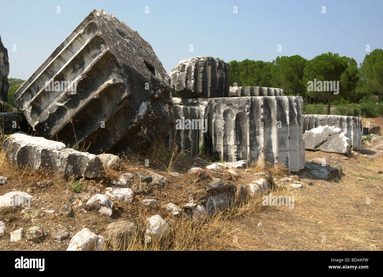 Sardis, Temple of Artemis, fallen column drums 010803 027L Stock Photo ...