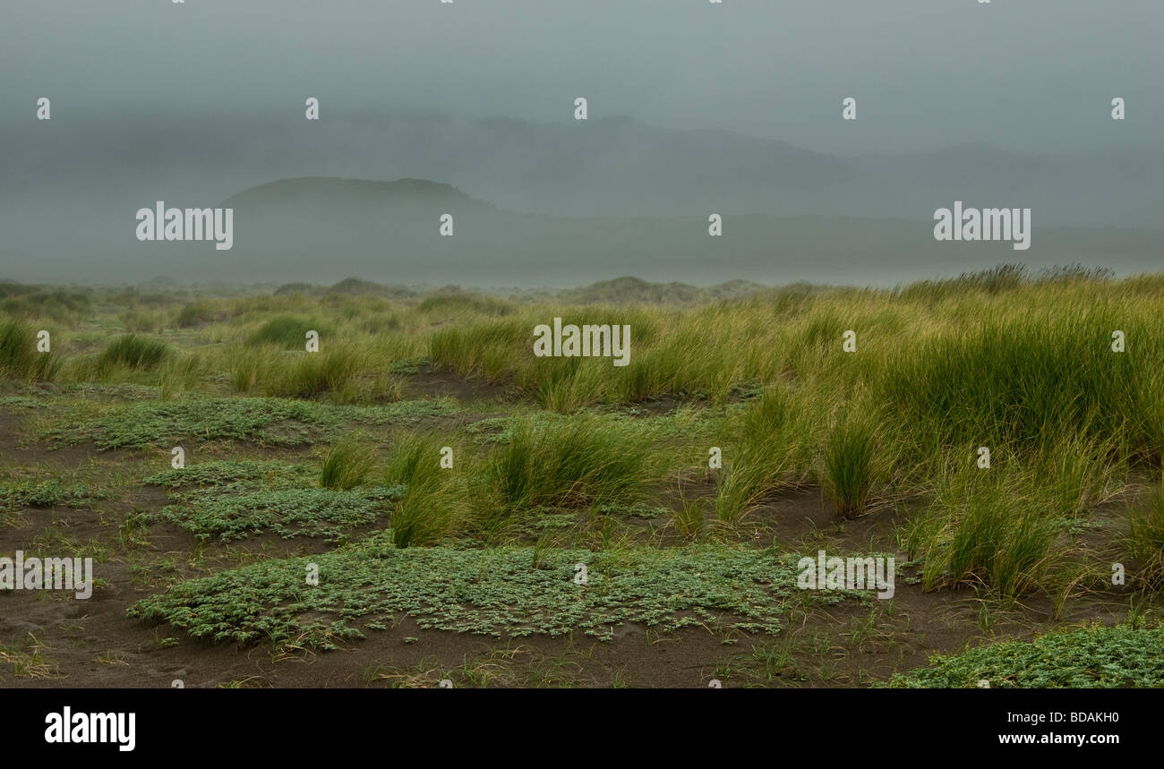 Ahuen Beach, Chepu, Chiloe Archipelago. Pictures of Chiles Southern ...