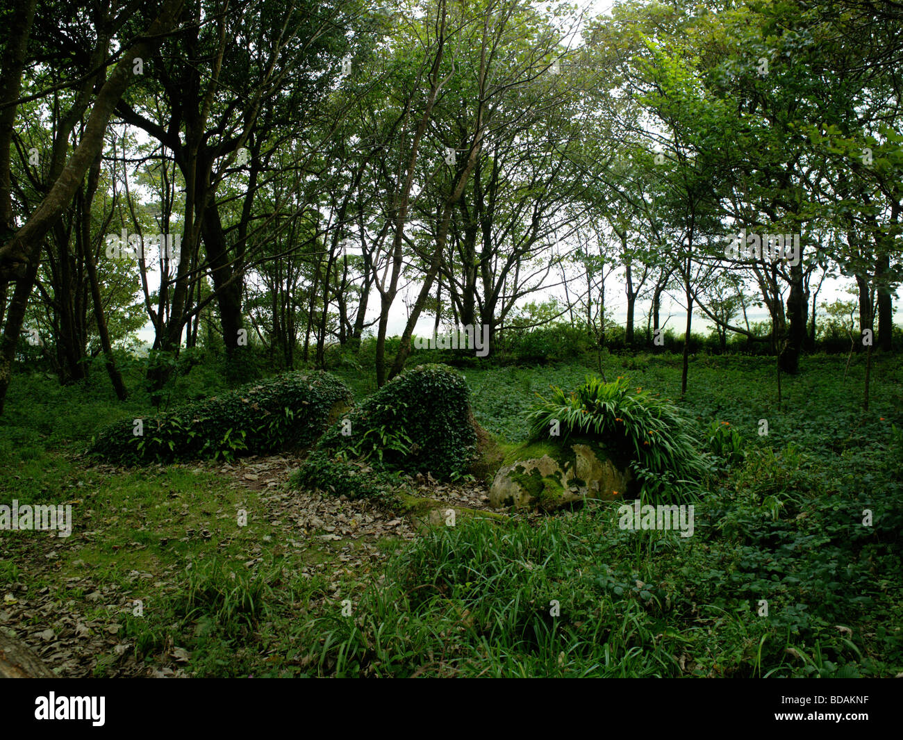 stone lady covered in plants Stock Photo - Alamy