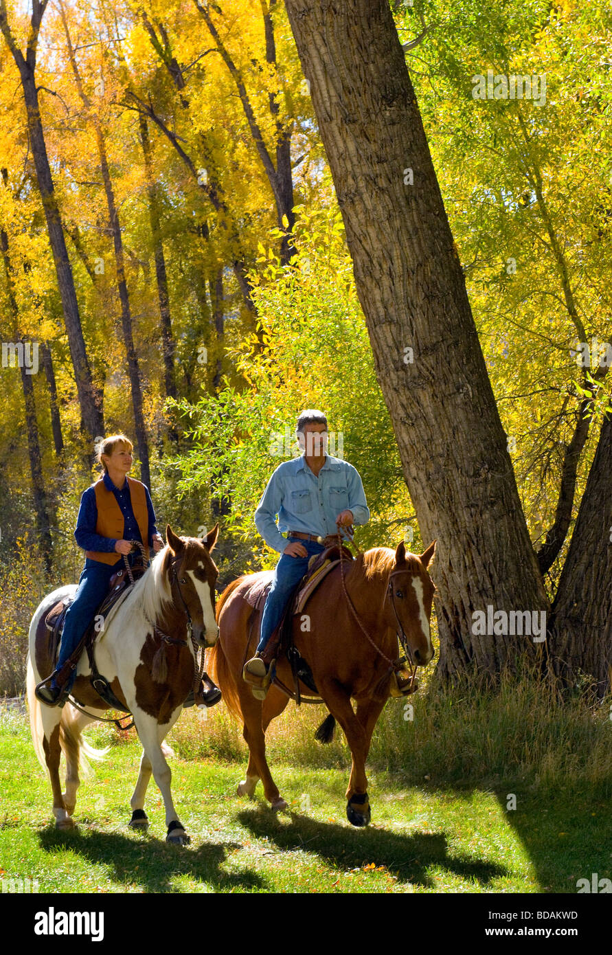 Couple riding horses Stock Photo - Alamy