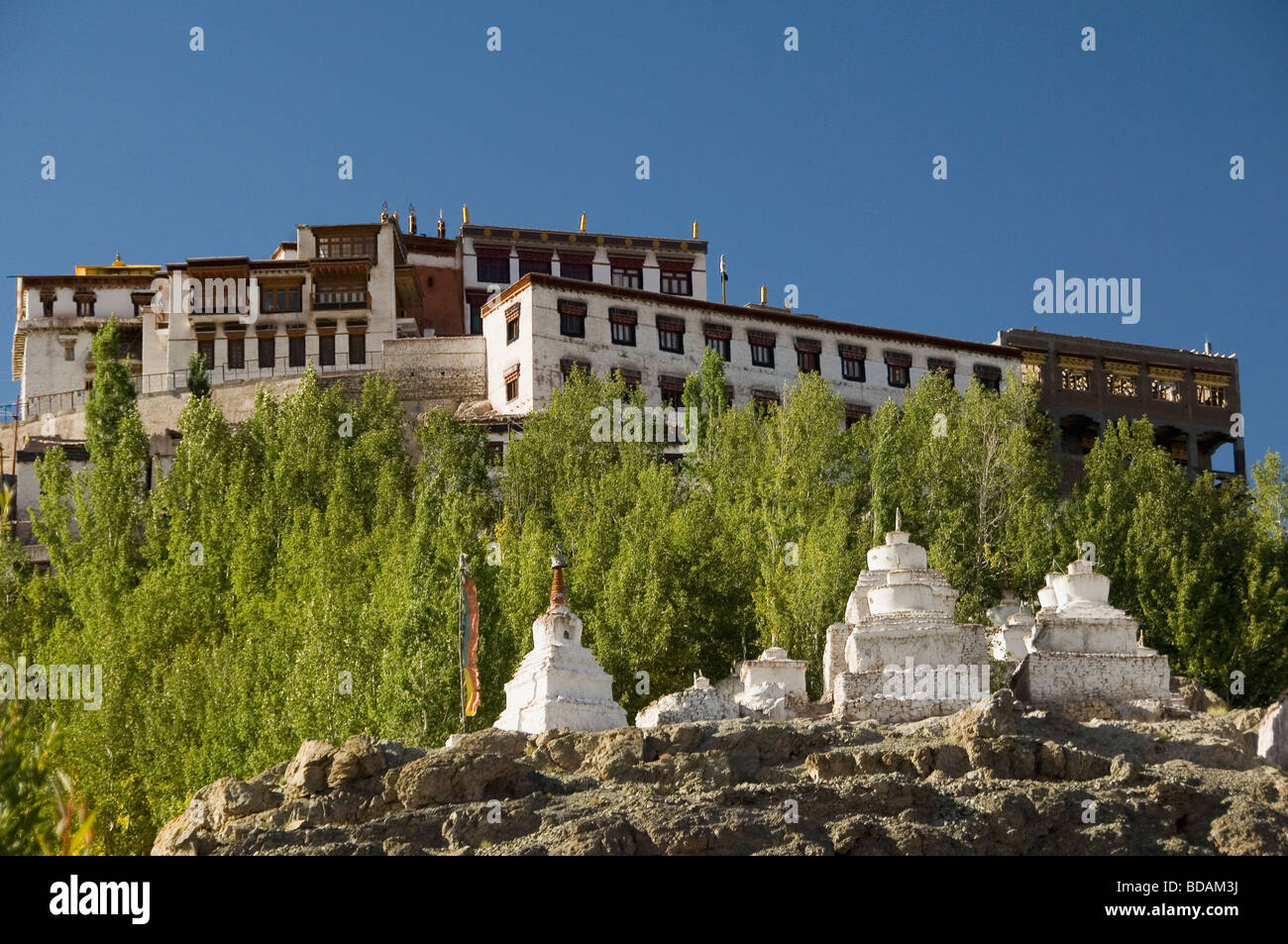Monastery on a hill, Matho Monastery, Ladakh, Jammu and Kashmir, India ...
