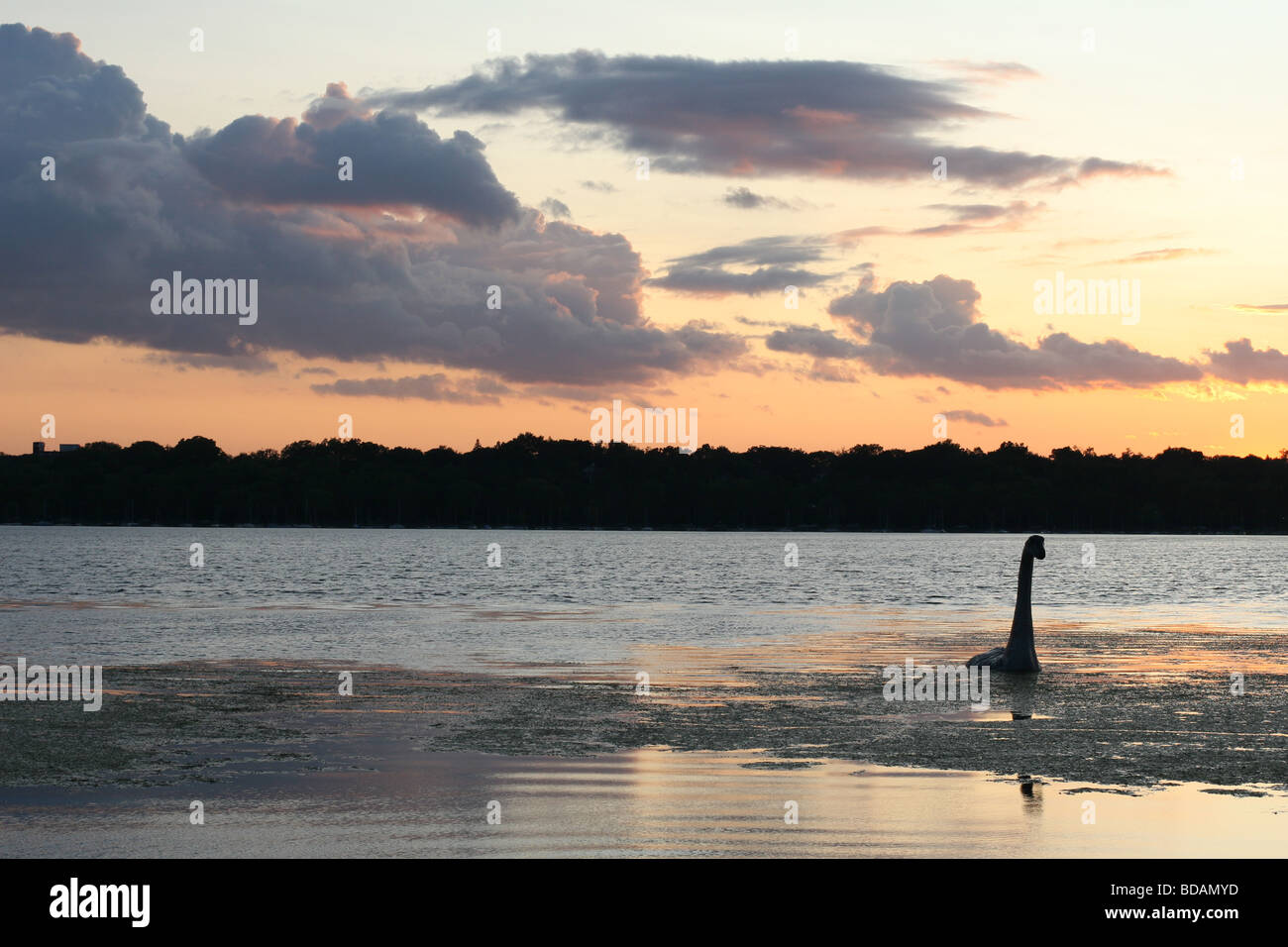 A lake monster sculpture in Lake Harriet, Minneapolis, Minnesota, USA ...
