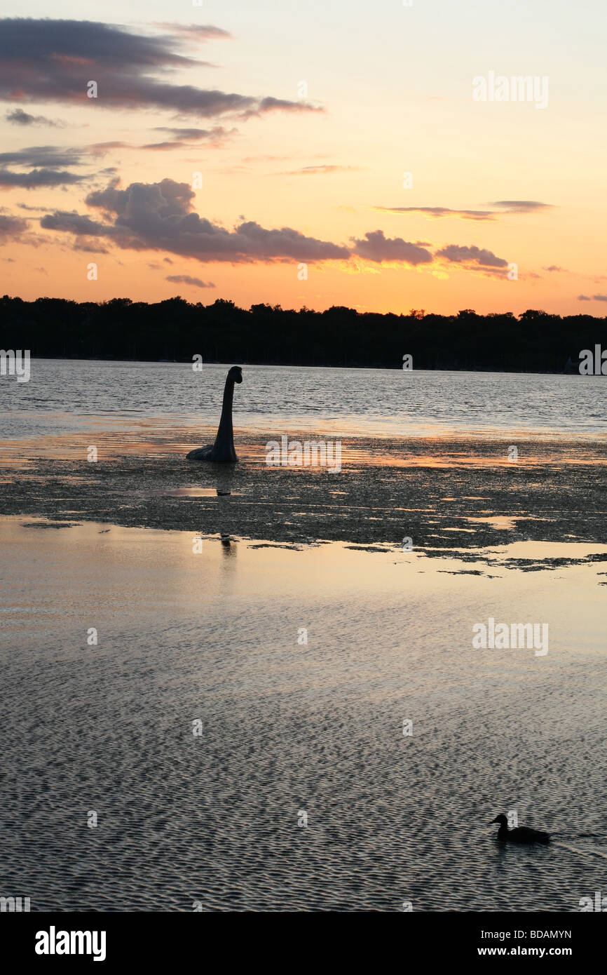 Lake monster hi-res stock photography and images - Alamy