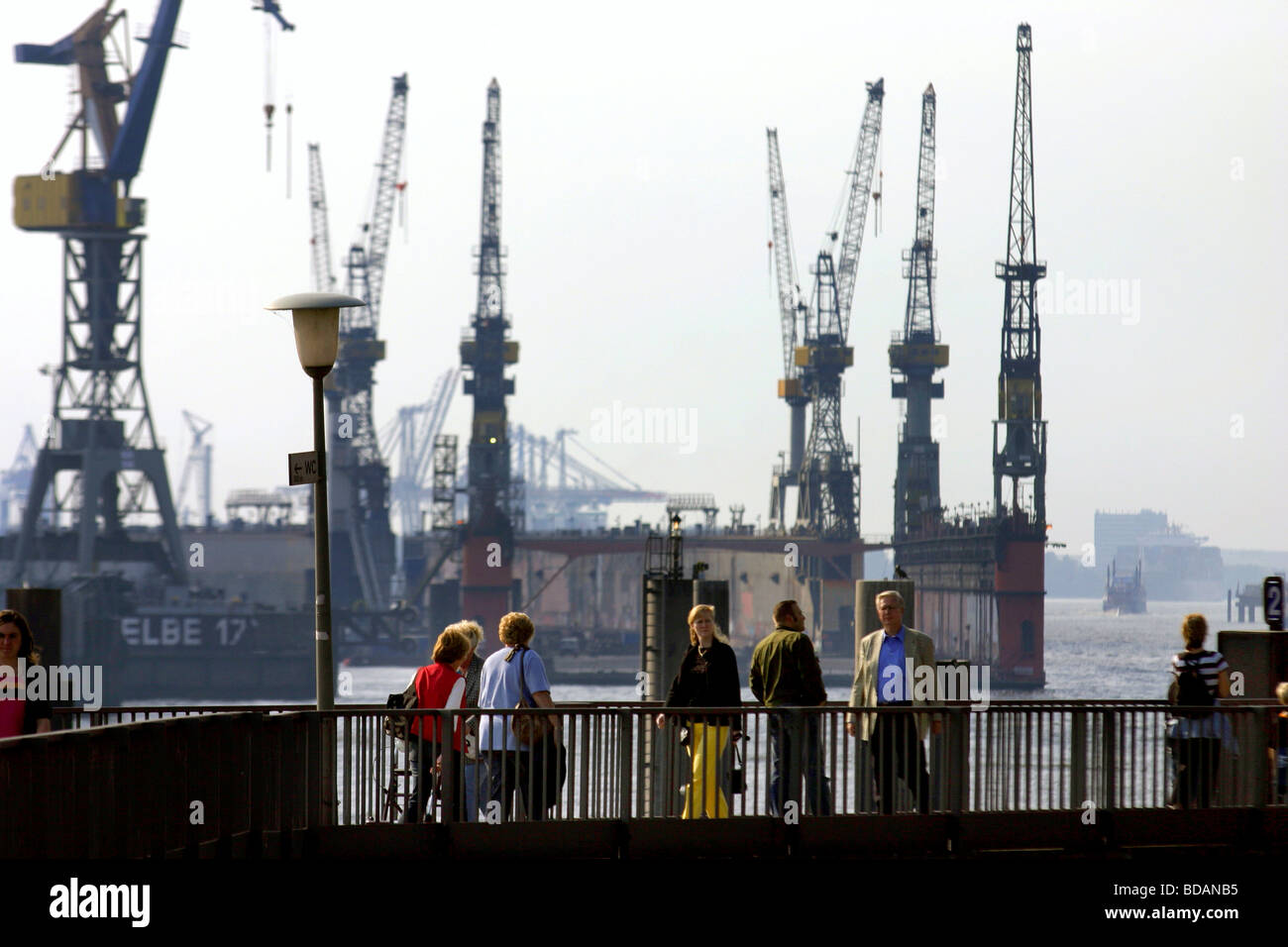 Peoples view to the Ship Cargo Loading Cranes in Hamburg Harbour ...