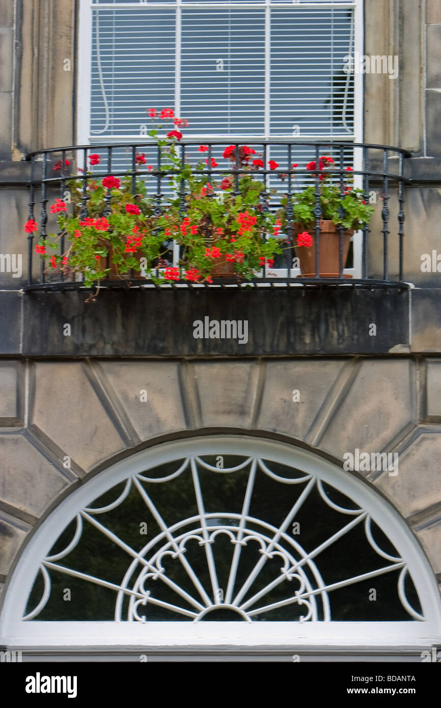 Red flowering plants in a black iron balcony with an arched window ...