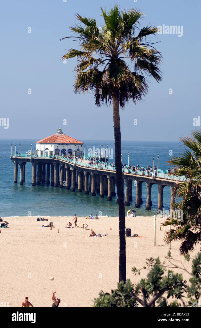 Palm Tree and Pier Stock Photo - Alamy