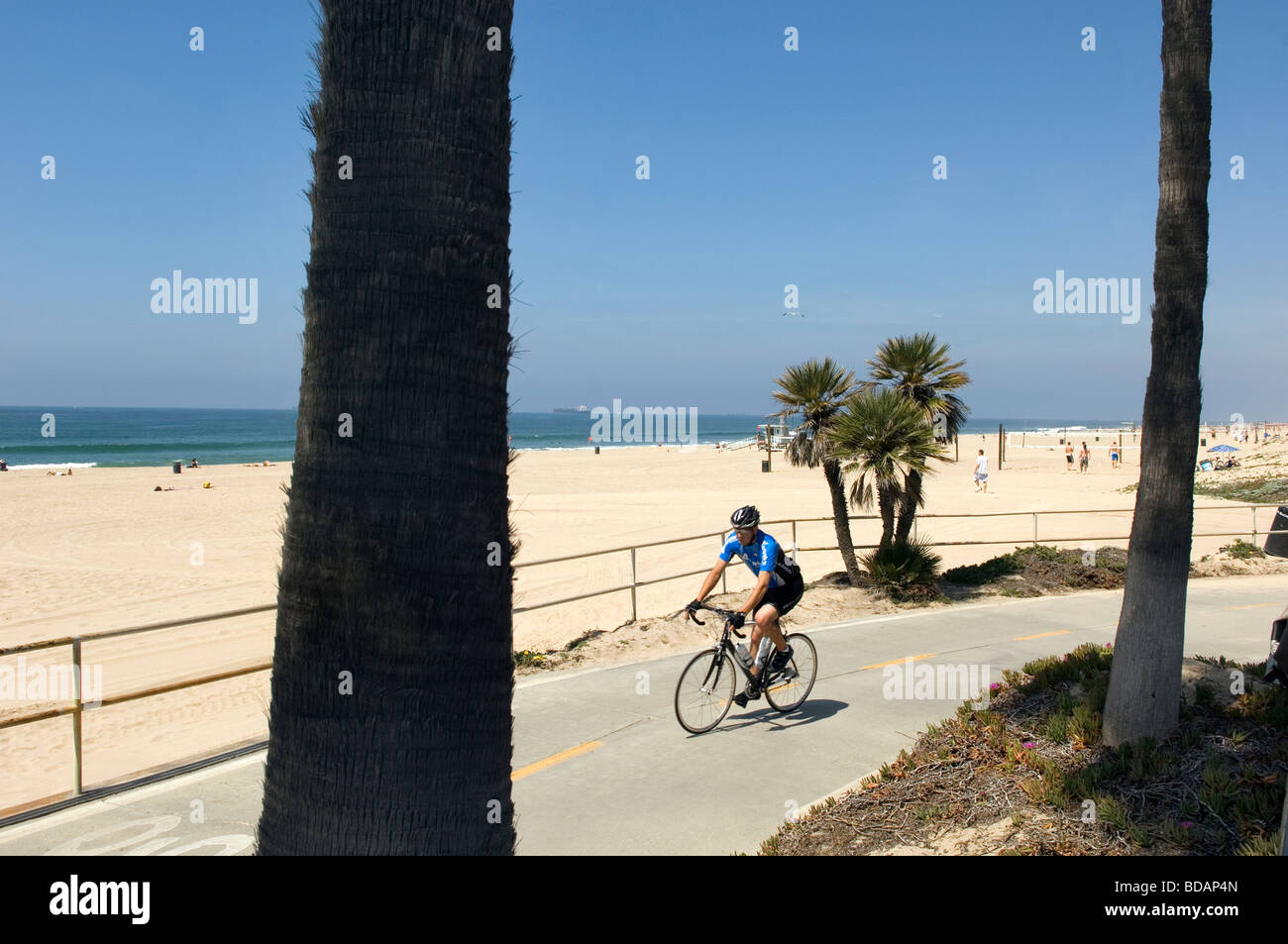 Bike path at Beach Stock Photo - Alamy