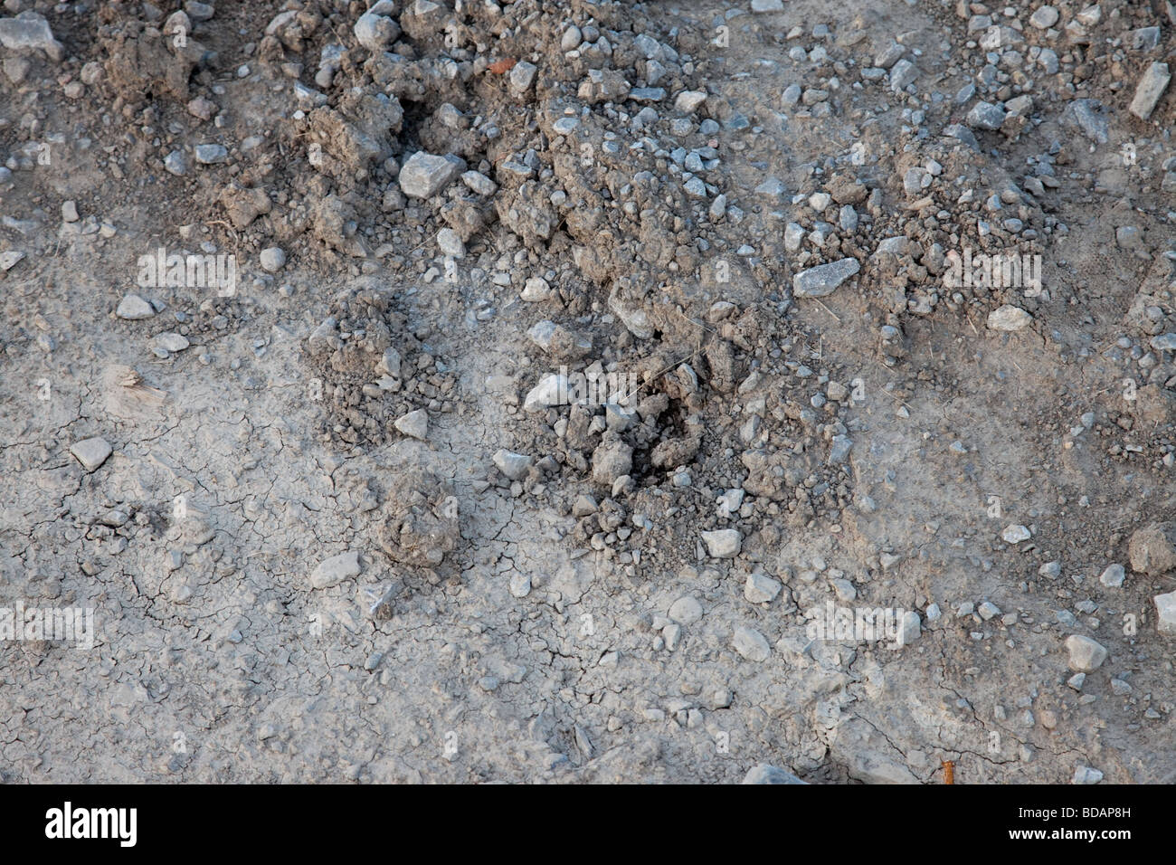 mud and stones around construction site Stock Photo - Alamy