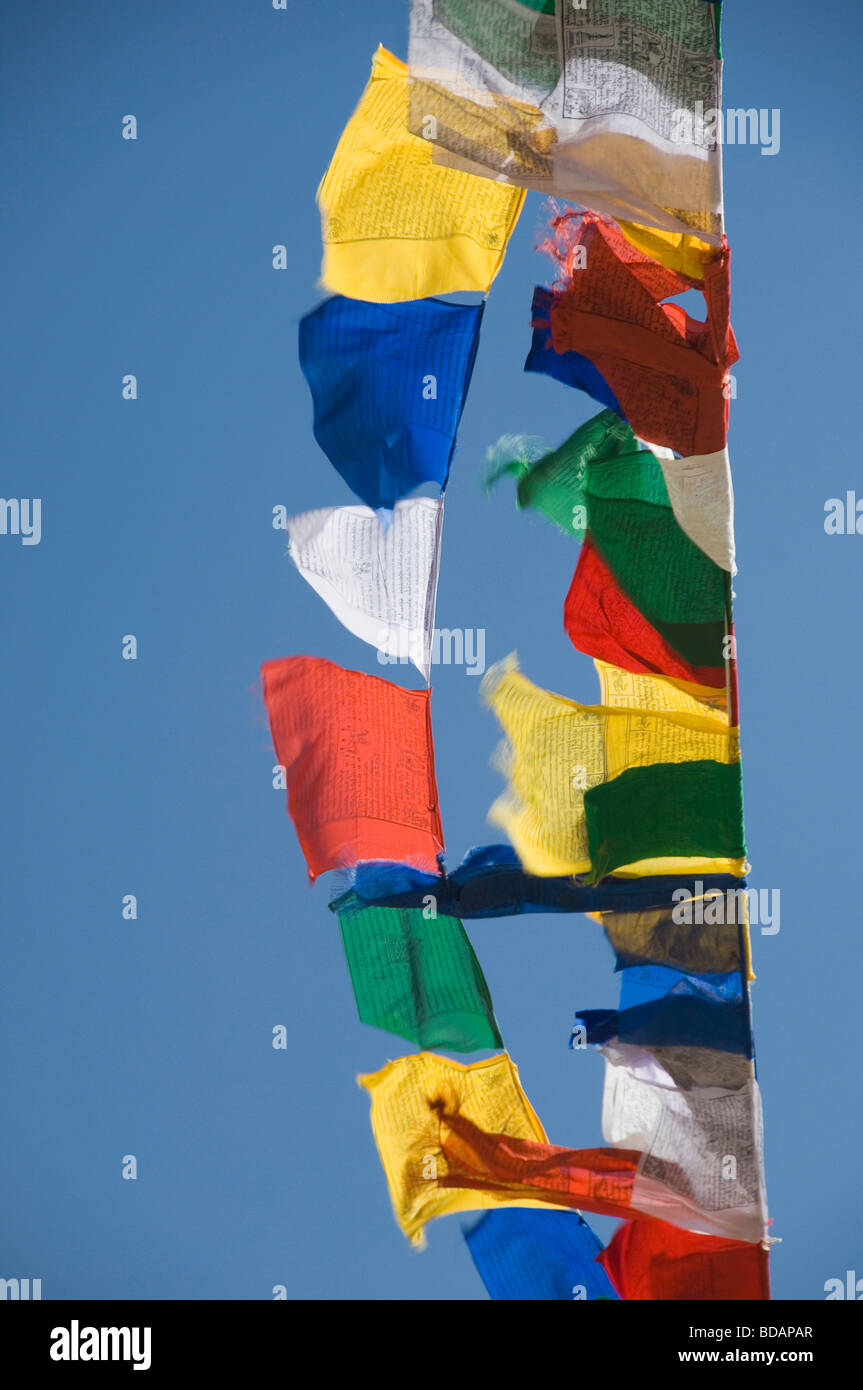 Prayer flags fluttering, Ladakh, Jammu and Kashmir, India Stock Photo ...
