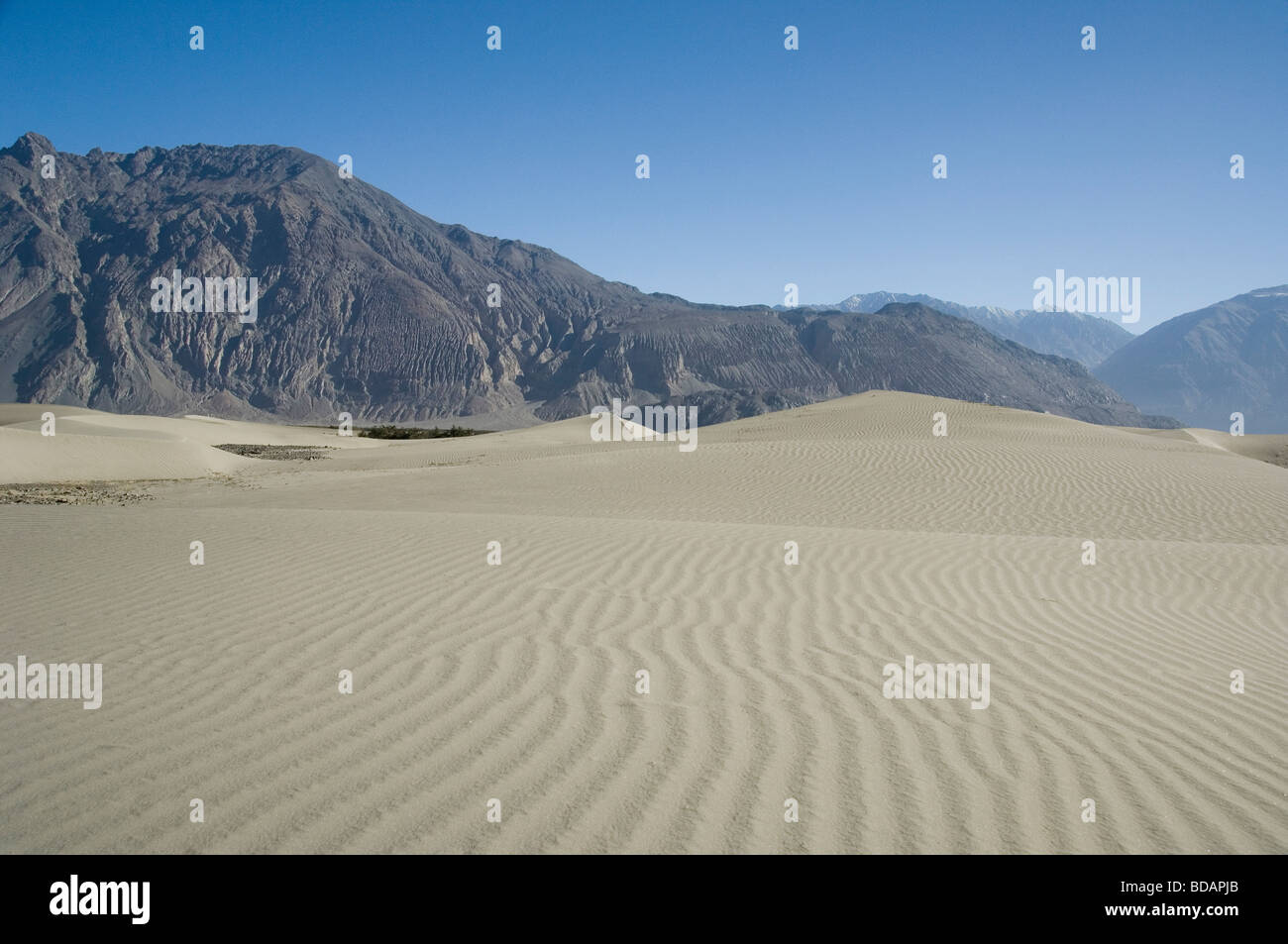 Ladakh landscape mountain hi-res stock photography and images - Alamy