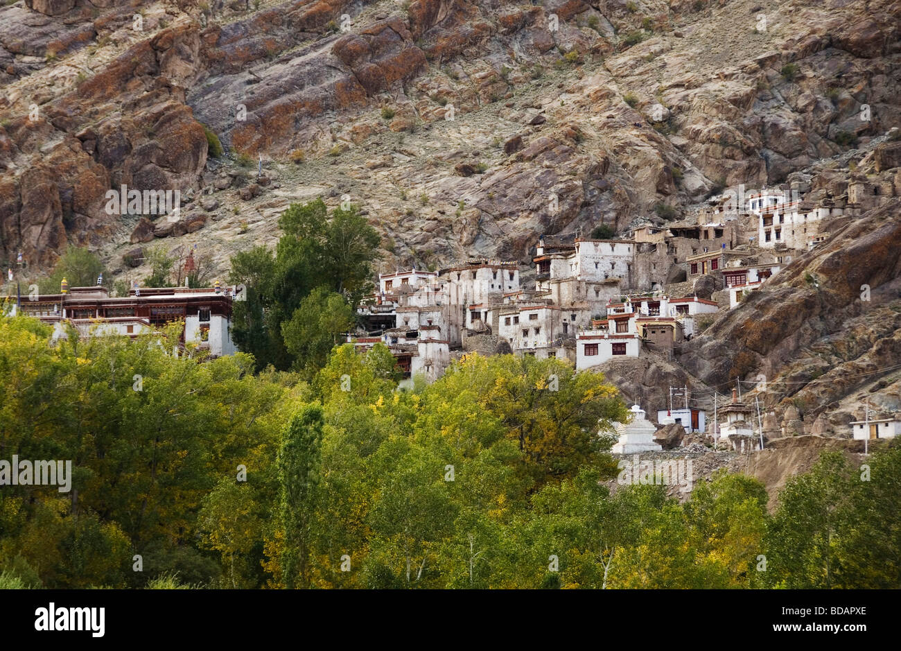 Trees in front of monastery, Hemis Monastery, Hemis, Ladakh, Jammu and ...