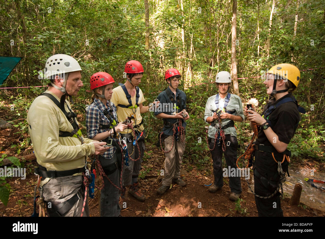 Indonesia Sulawesi Operation Wallacea Lambusango forest reserve ...
