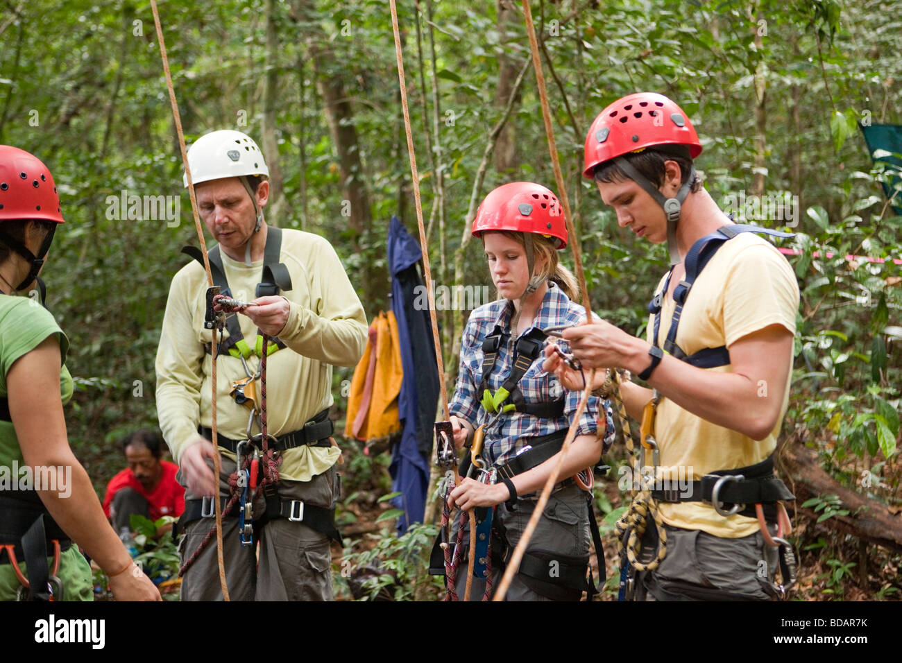 Indonesia Sulawesi Operation Wallacea Lambusango forest reserve canopy ...