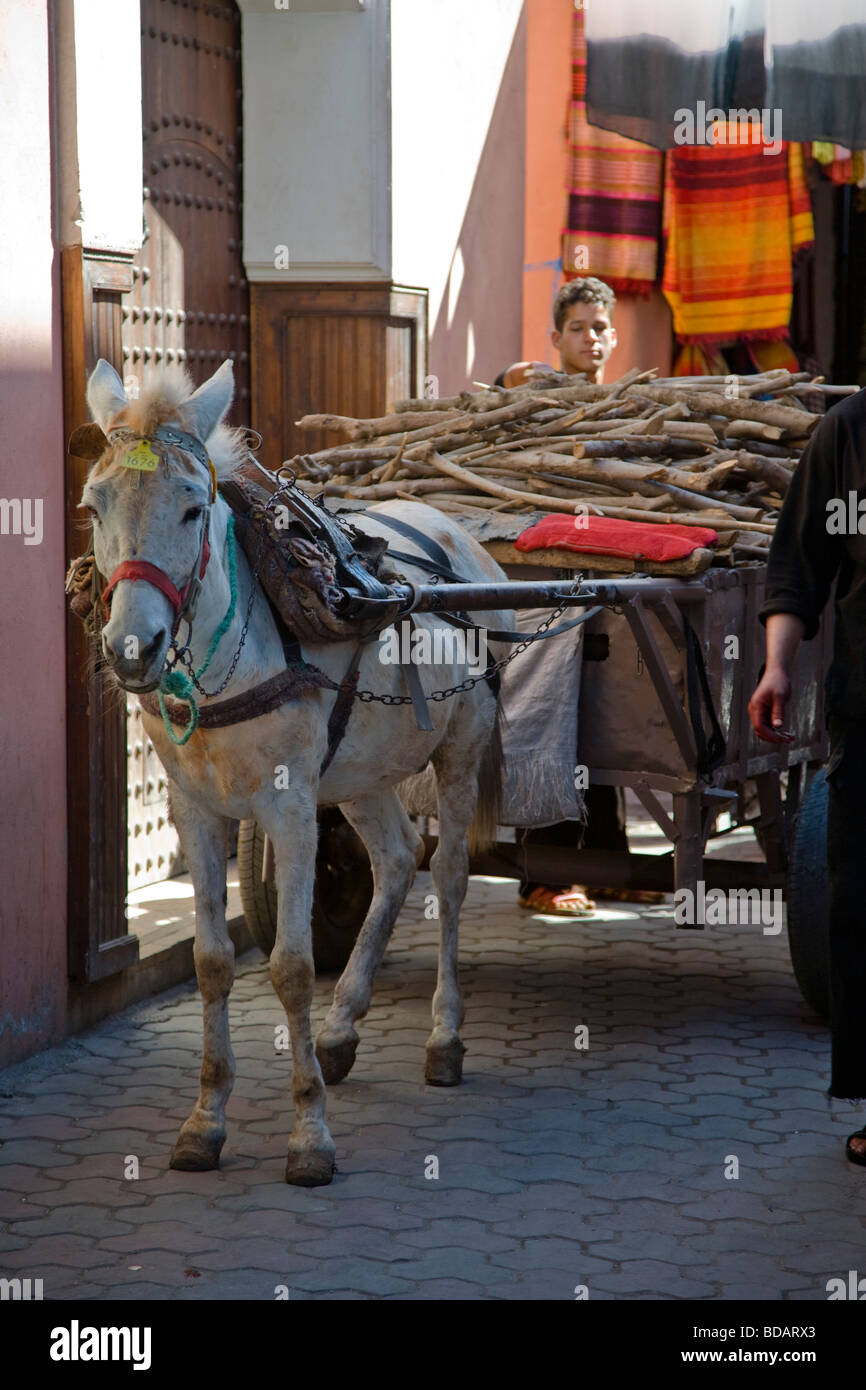 A donkey cart loaded with timber in the Souk, Medina, Marrakesh ...