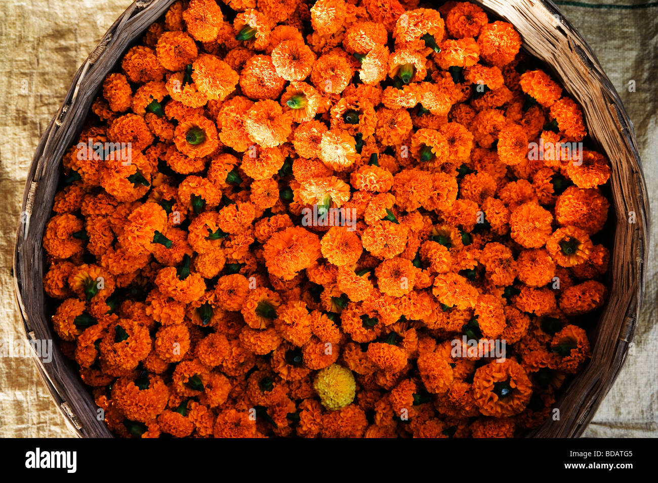 Religious container hi-res stock photography and images - Alamy
