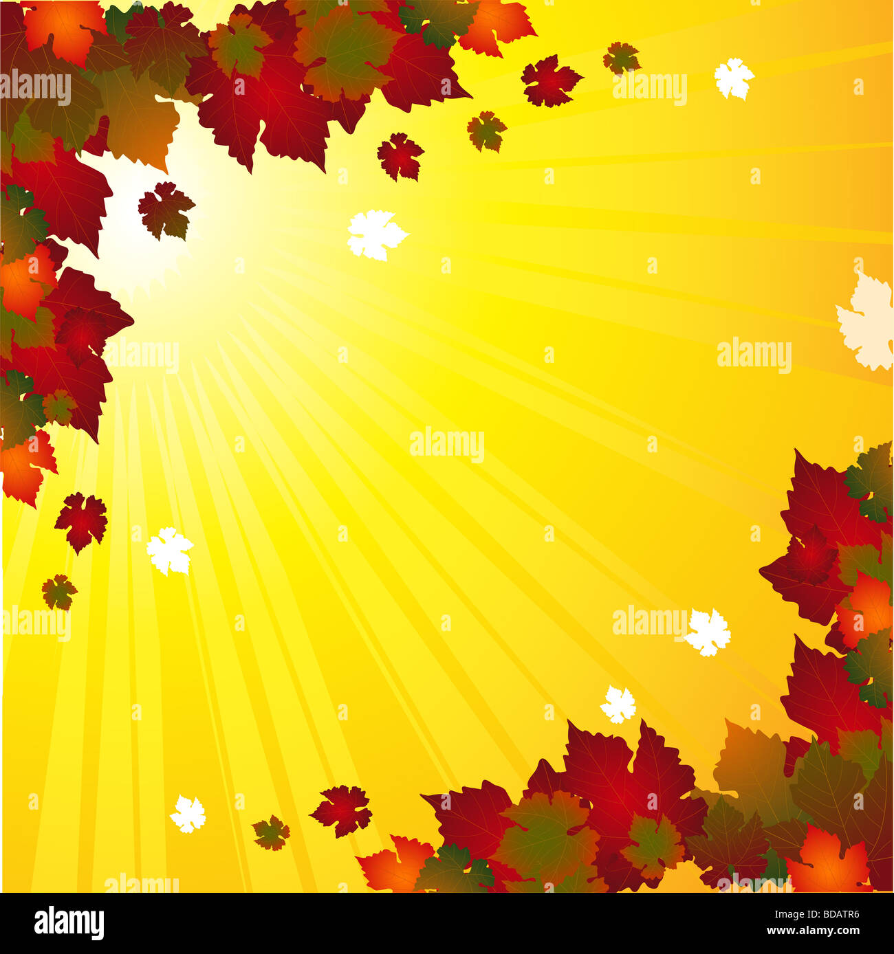 autumn background with colourful leaves on a star burst background ...