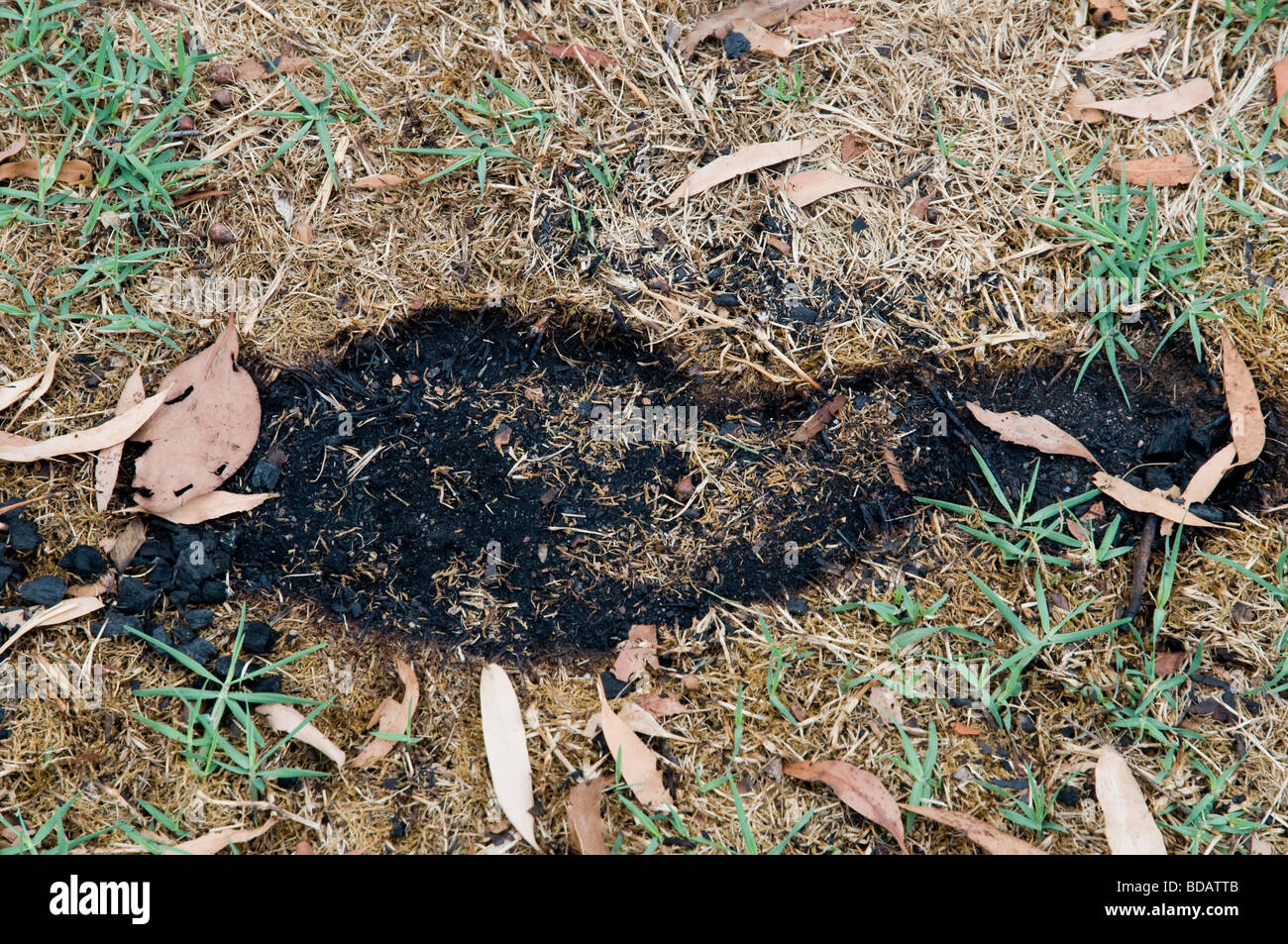 Black footprint after a fire Stock Photo - Alamy