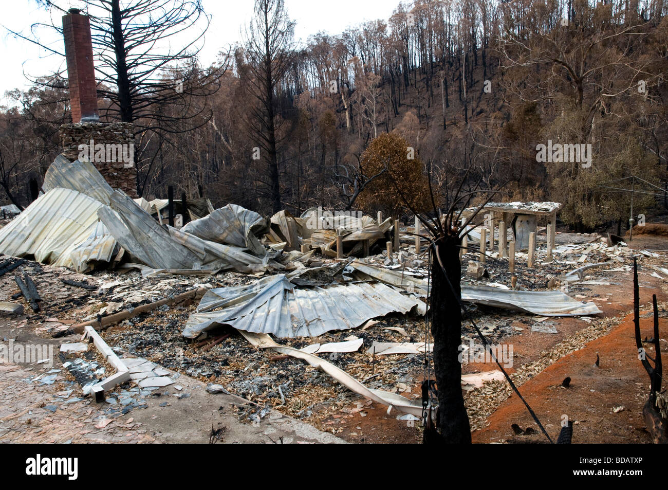 Devastation after bushfires Stock Photo - Alamy
