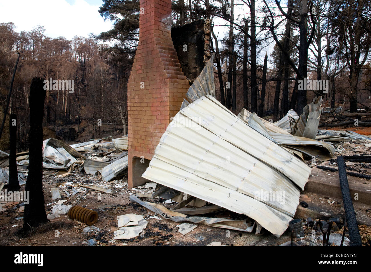 Devastation after bushfires Stock Photo - Alamy