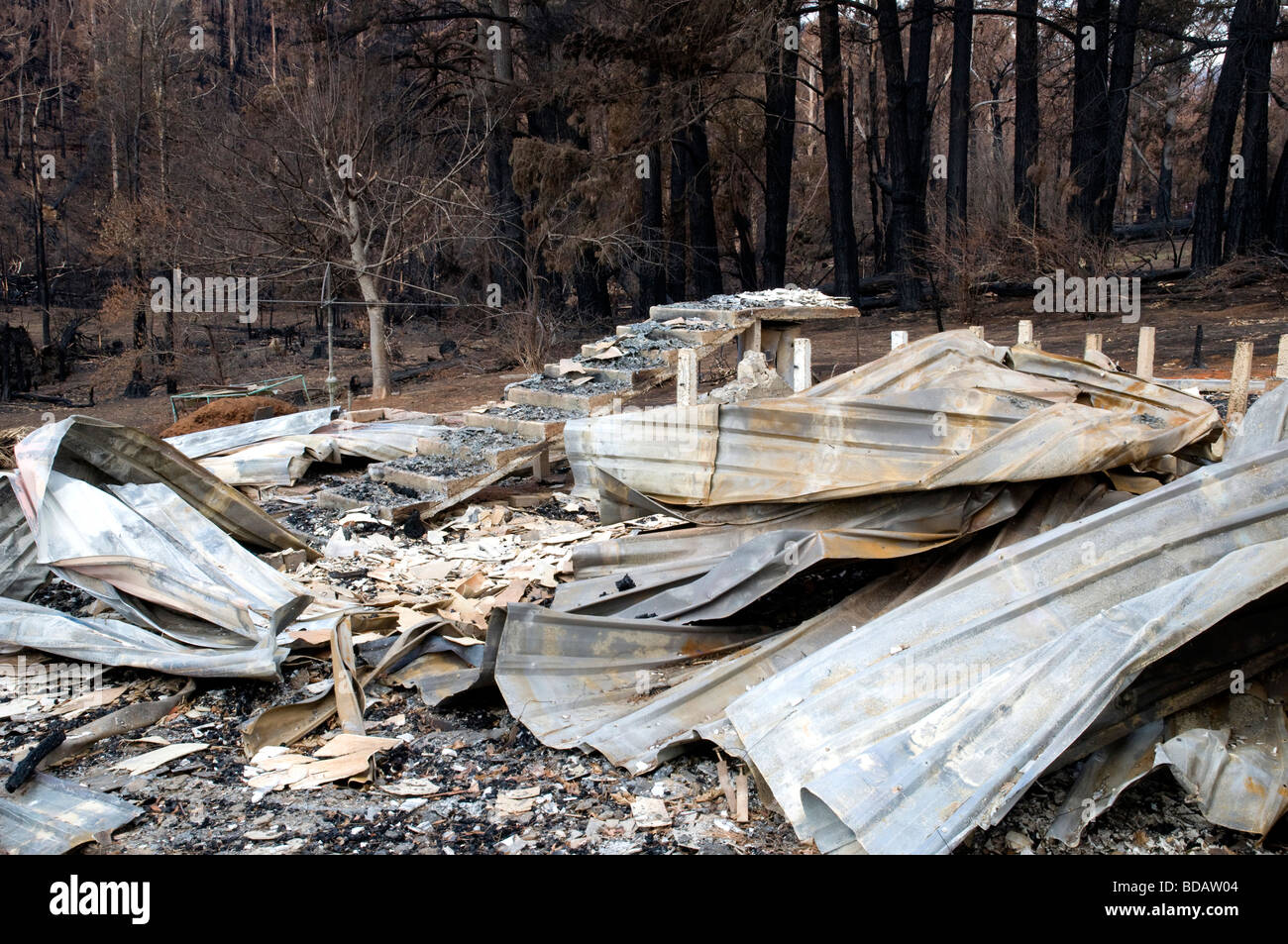 Devastation after bushfires Stock Photo - Alamy