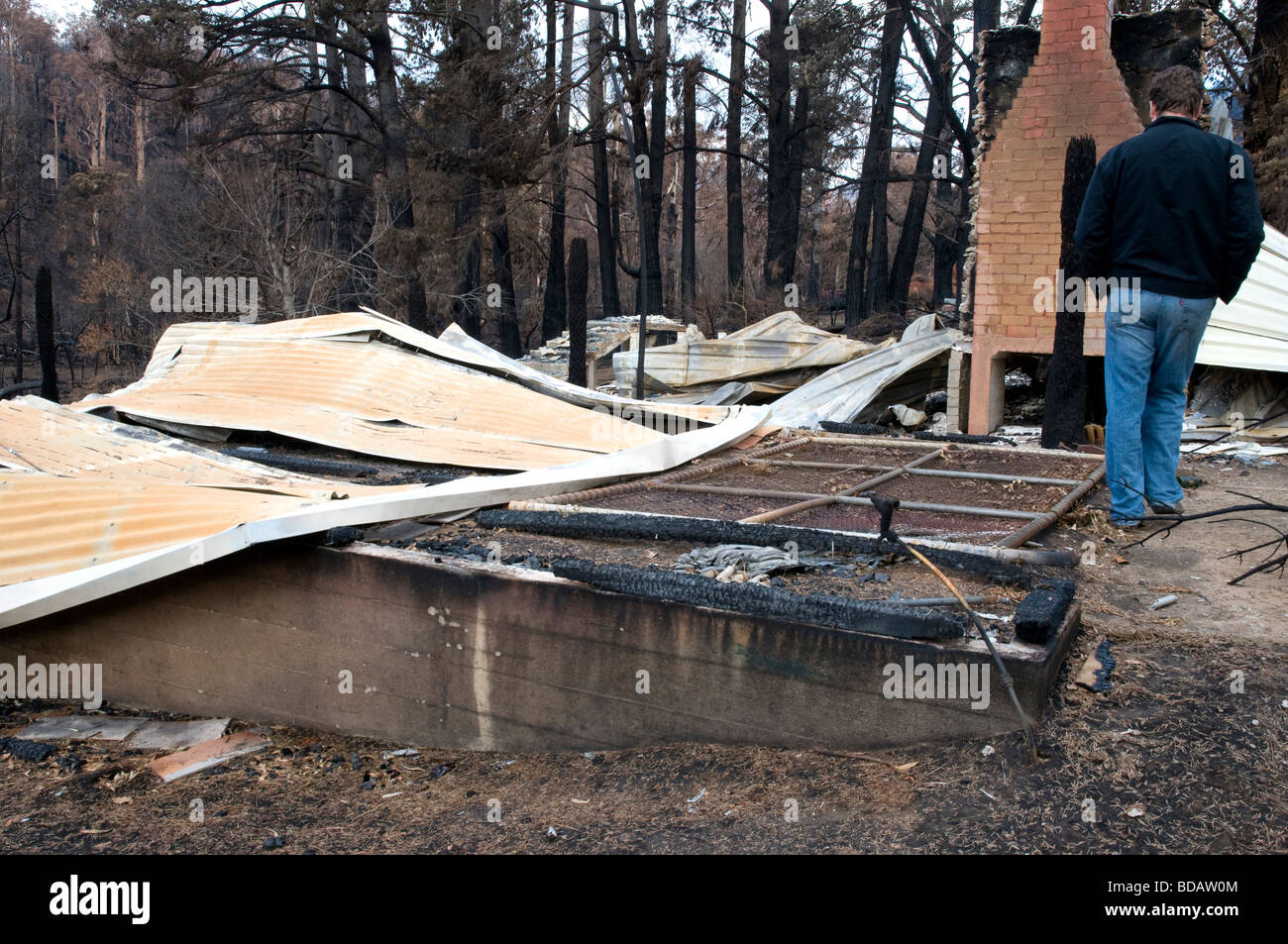 Man looking at the devastation left after a bushfire Stock Photo - Alamy