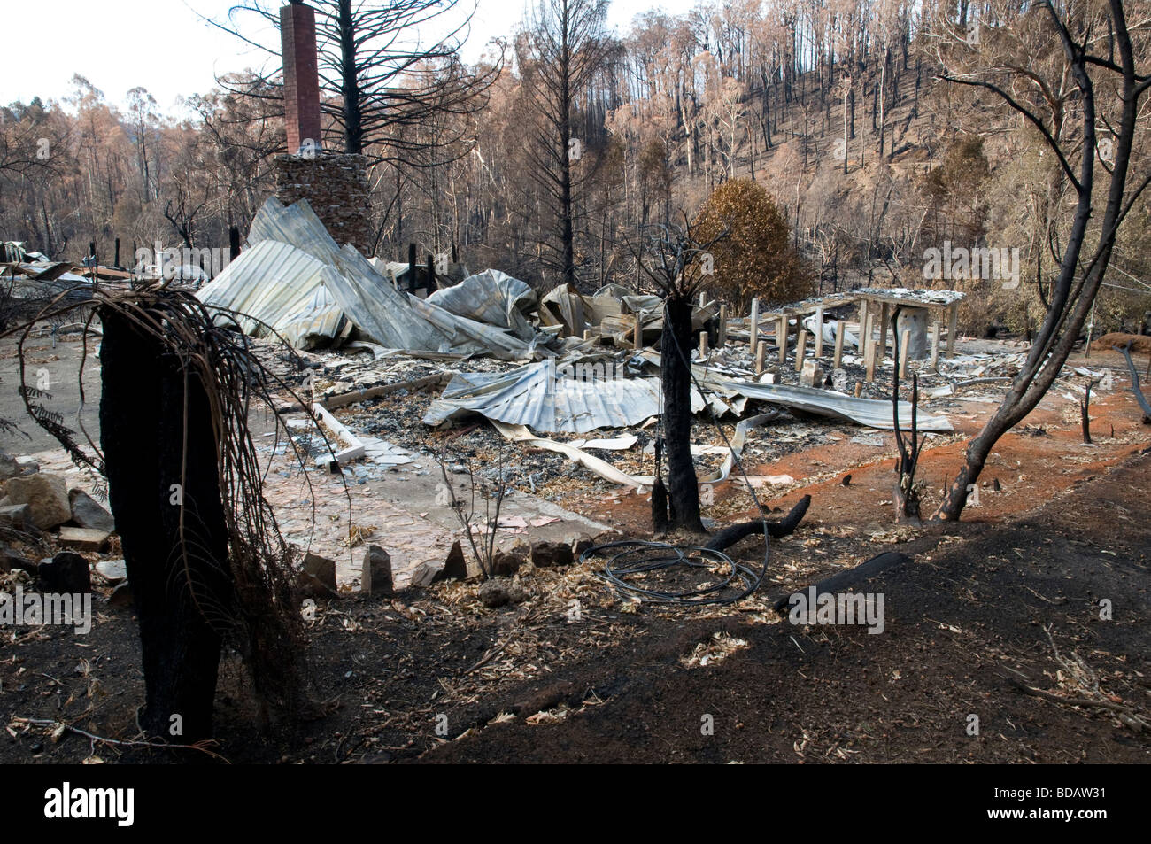 Devastation after bushfires Stock Photo - Alamy