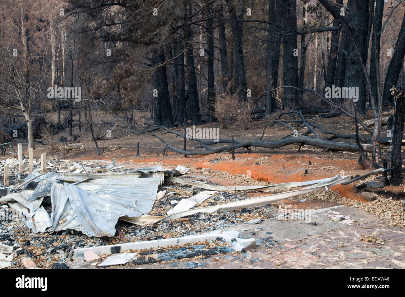 Devastation after bushfires Stock Photo - Alamy
