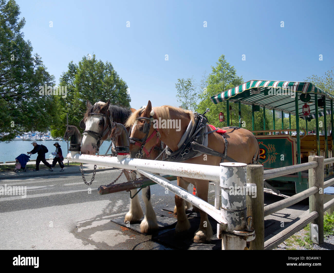Horse Drawn Tram in Stanley Park in Vancouver British Columbia, Canada ...