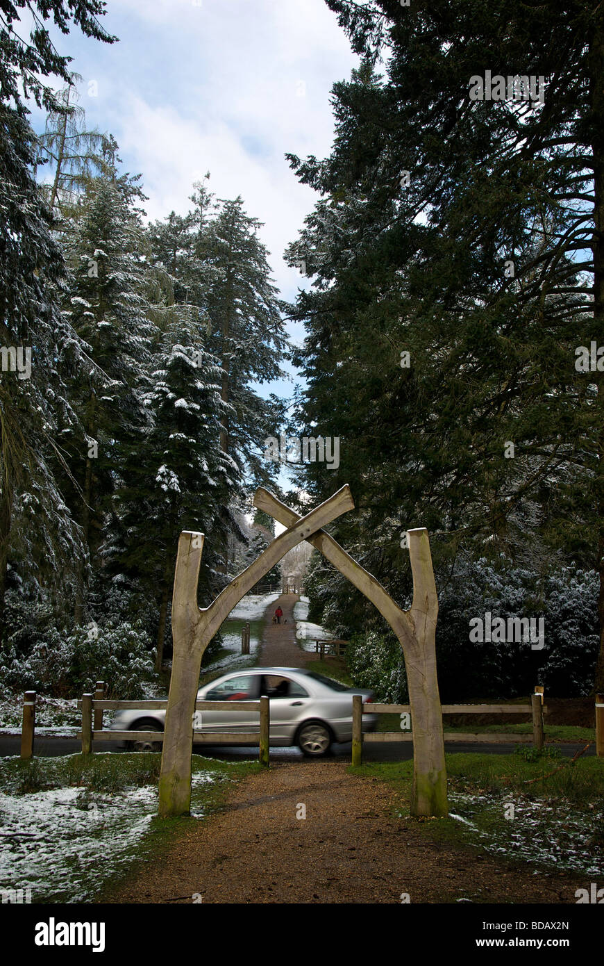 New Forest Snow Hampshire UK Blackwater Arboretum Stock Photo - Alamy