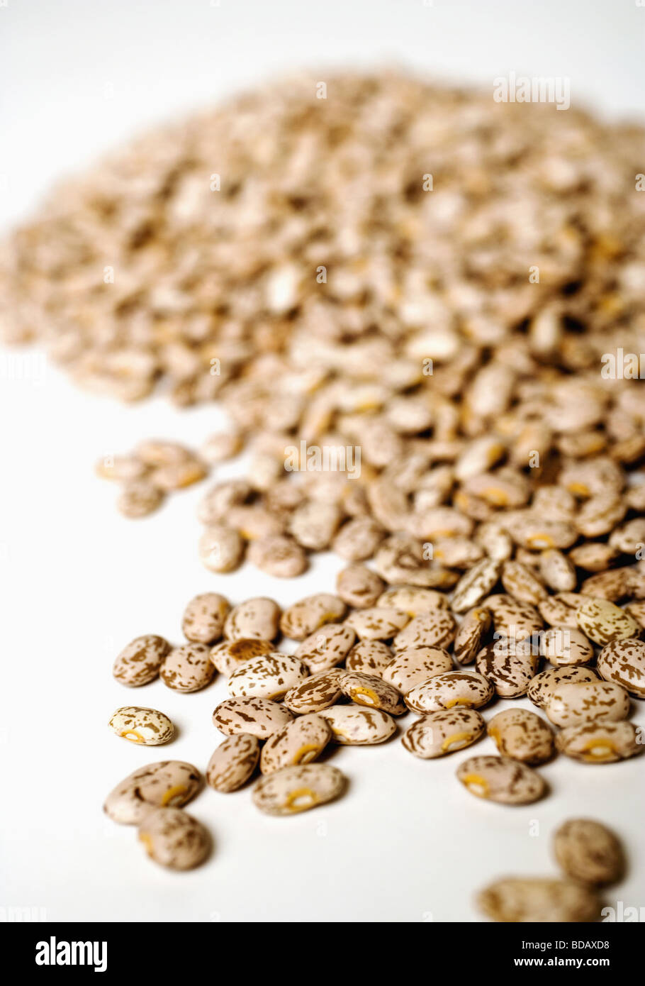 Close-up of dry beans Stock Photo - Alamy