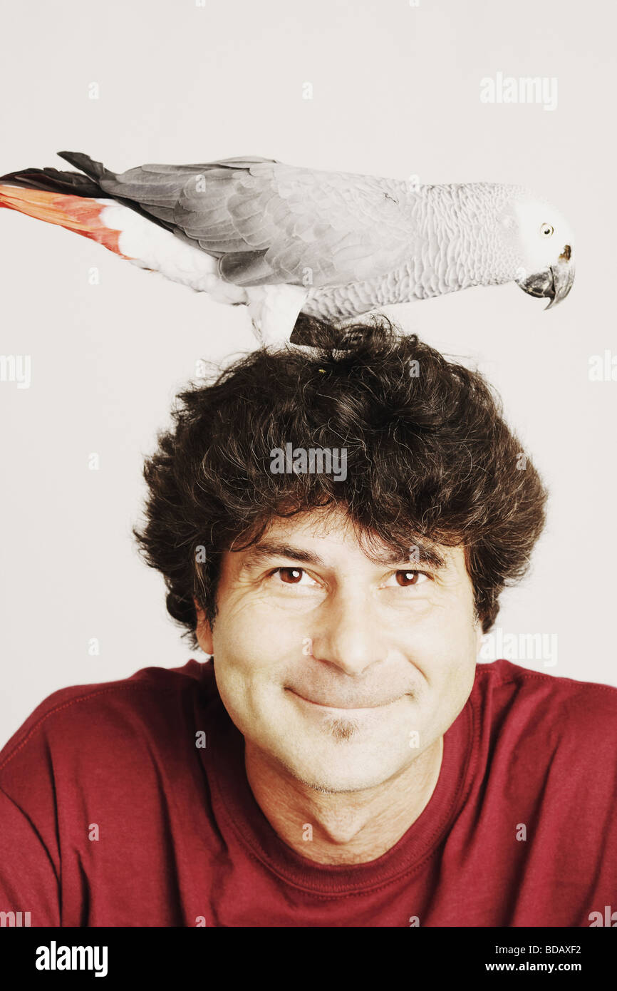 Portrait of a mid adult man with a parrot perching on his head Stock ...