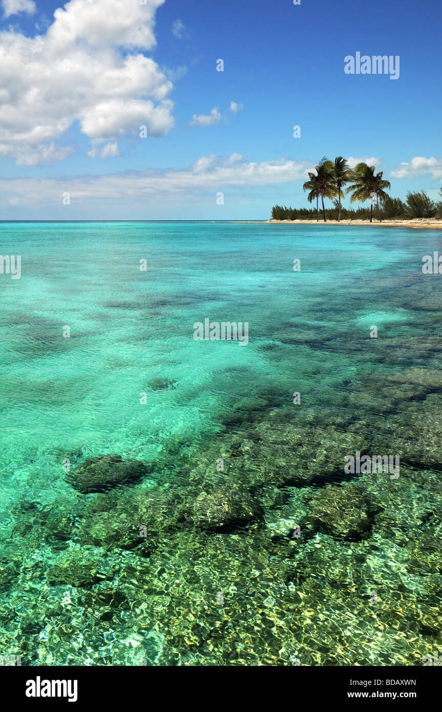 Tropical island with palm trees and coral reef in the Caribbean Stock ...