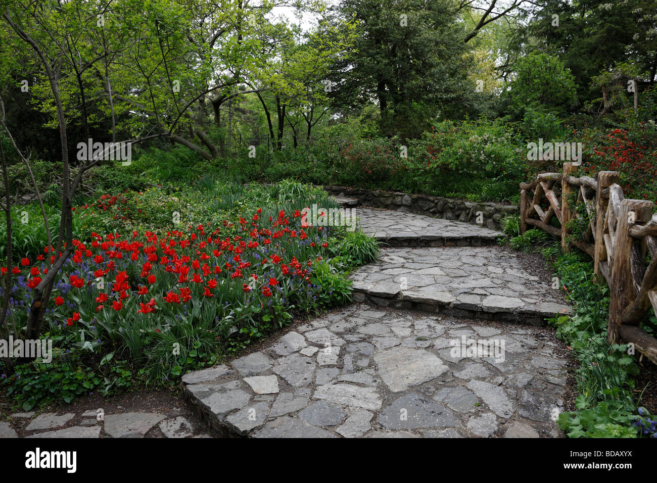 Shakespeare Garden in Spring in New York s Central Park Spring Stock ...