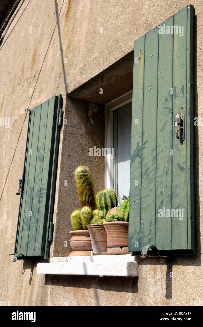 Plants outside window sill hi-res stock photography and images - Alamy