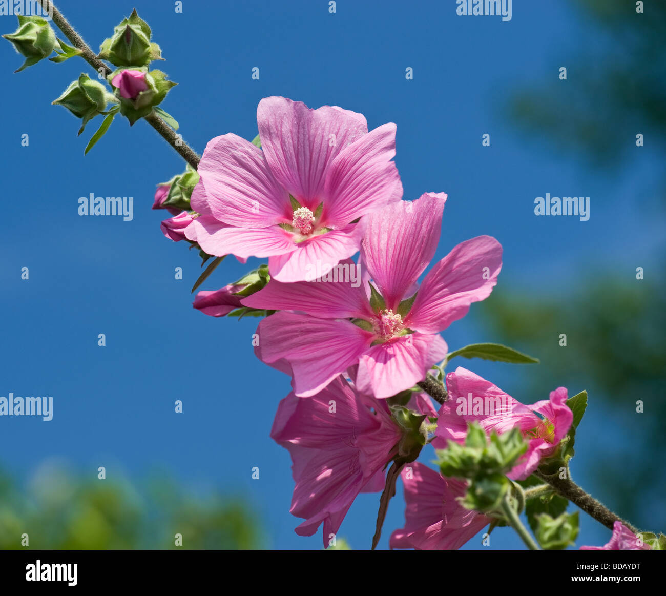 Bredon springs hi-res stock photography and images - Alamy