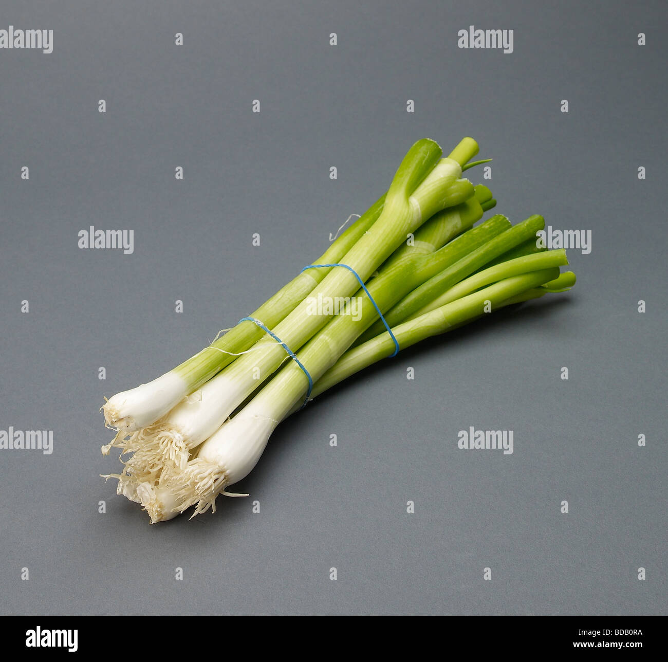 Spring onion allotment hi-res stock photography and images - Alamy