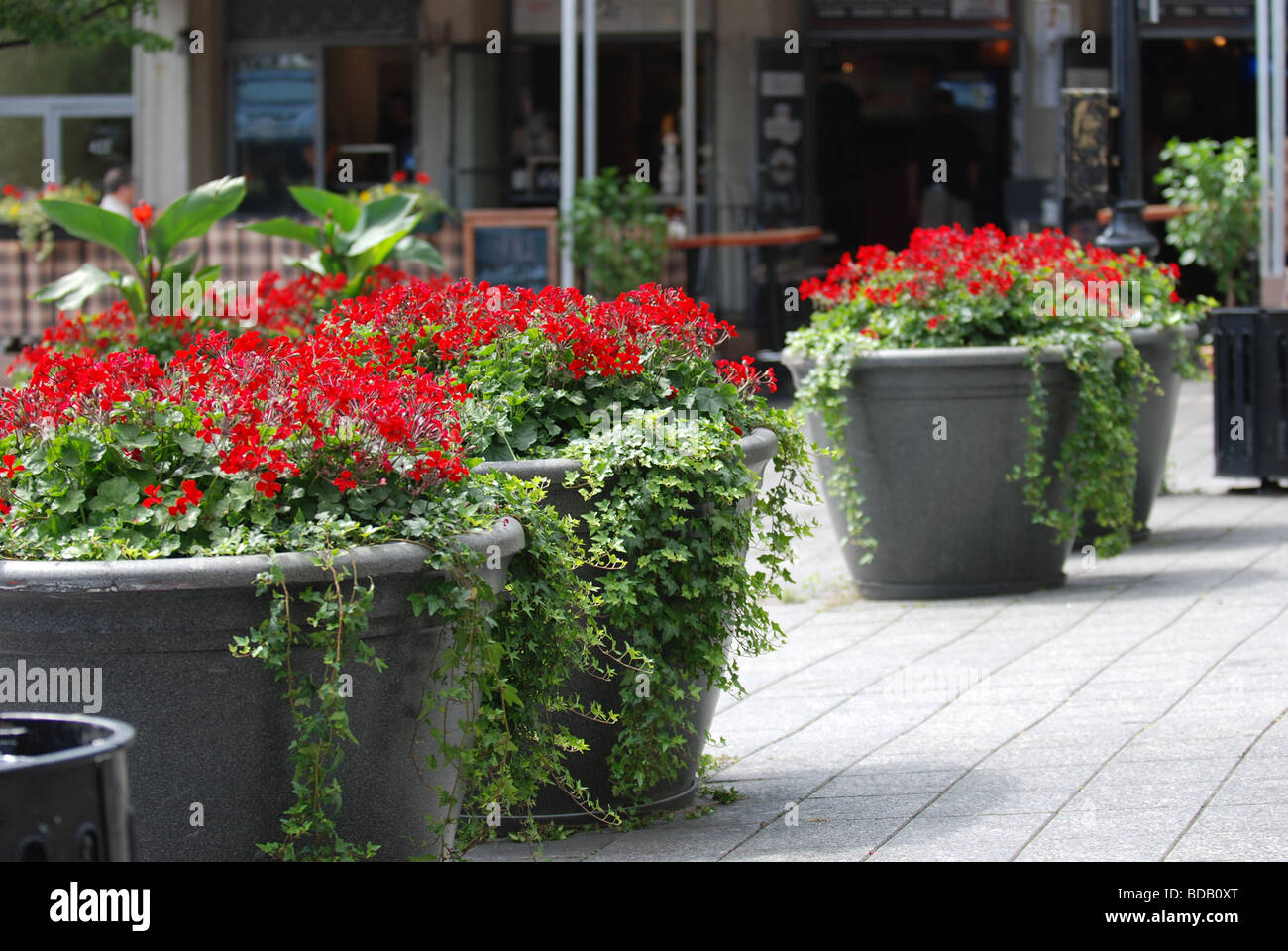 Urban flower pots hi-res stock photography and images - Alamy