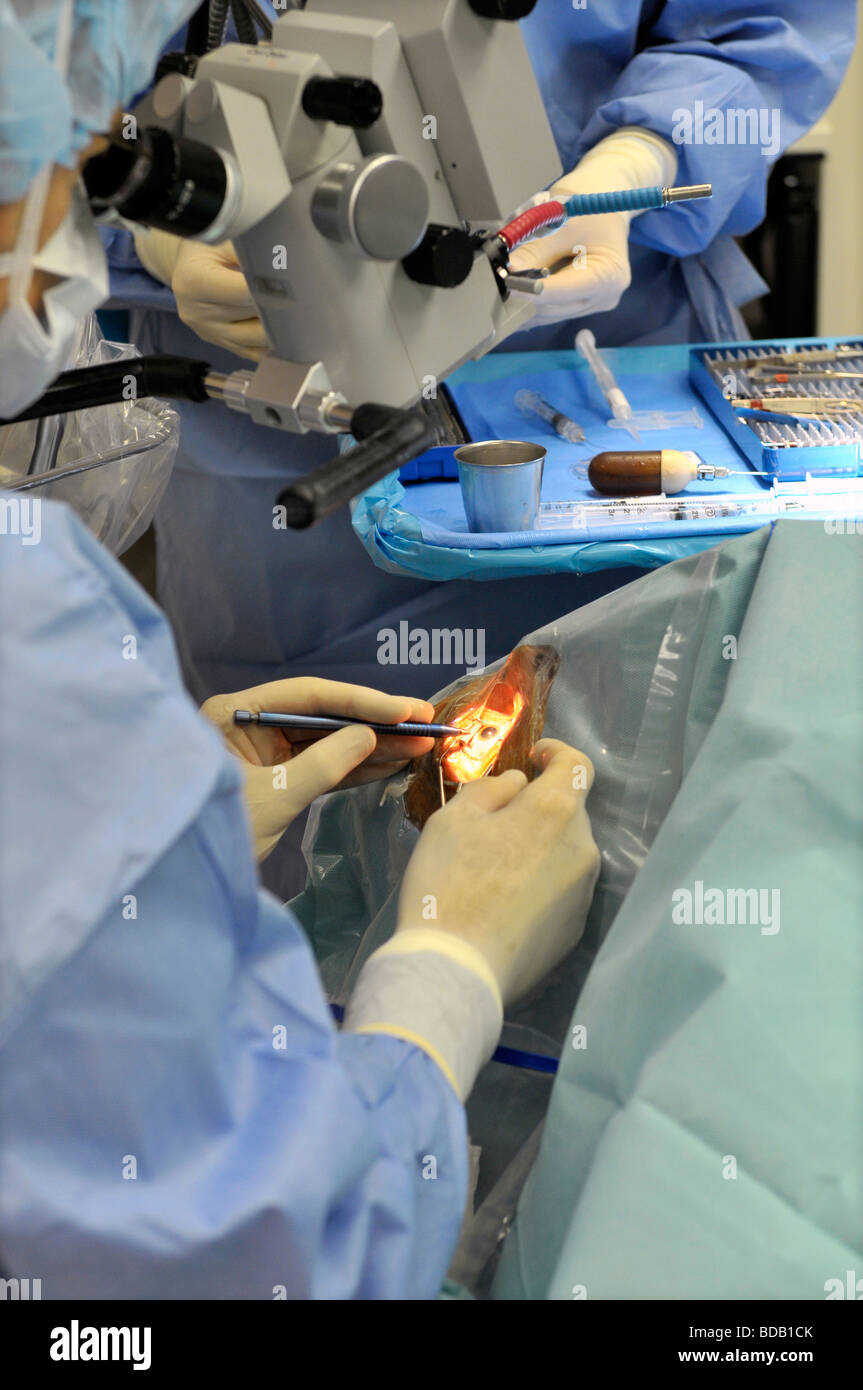 Preparation for Vision correction Cataract eye operation with a ...