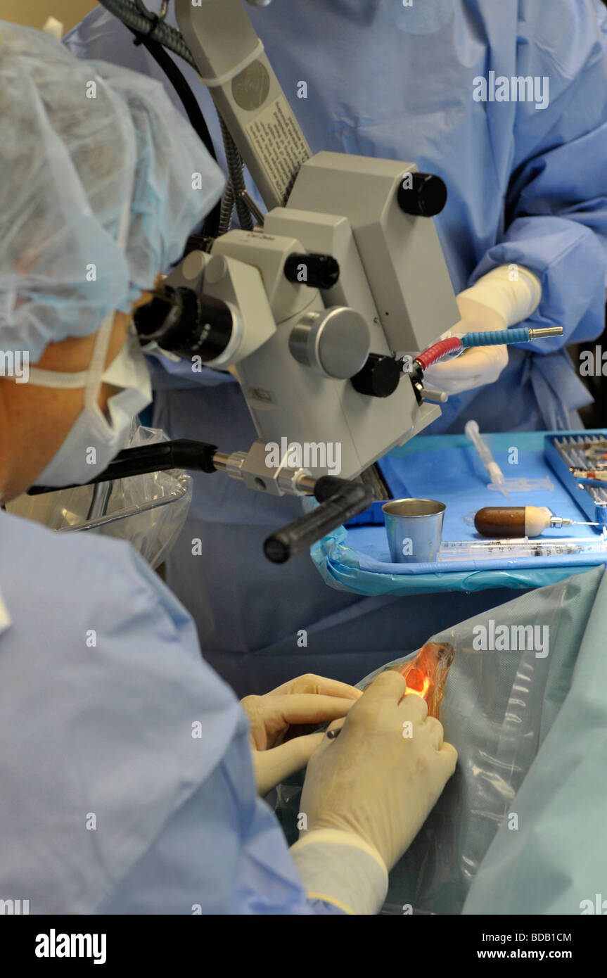 Catarac hi-res stock photography and images - Alamy