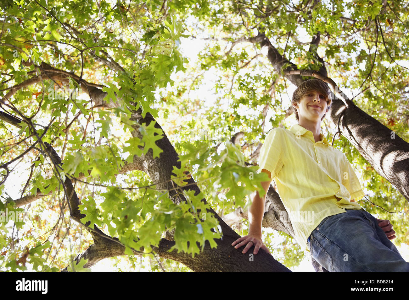 Leaning Against A Tree High Resolution Stock Photography and Images - Alamy