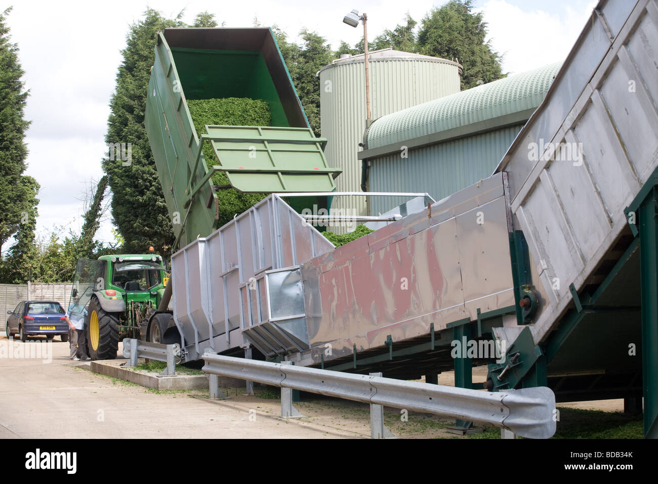 Fresh Parsley going to a dried herb factory Stock Photo - Alamy