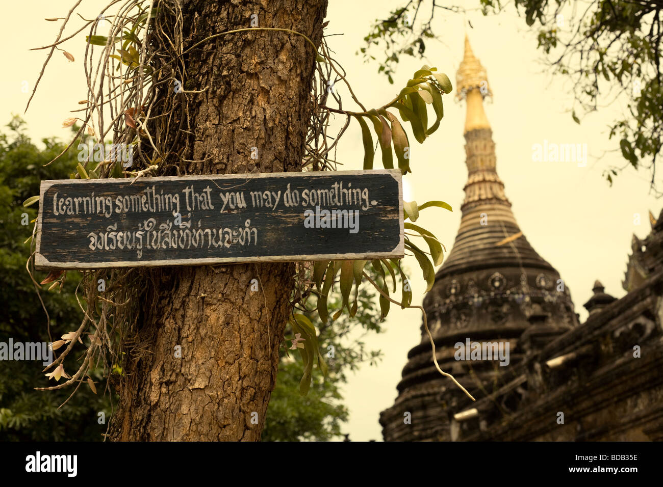 Temple label hi-res stock photography and images - Alamy