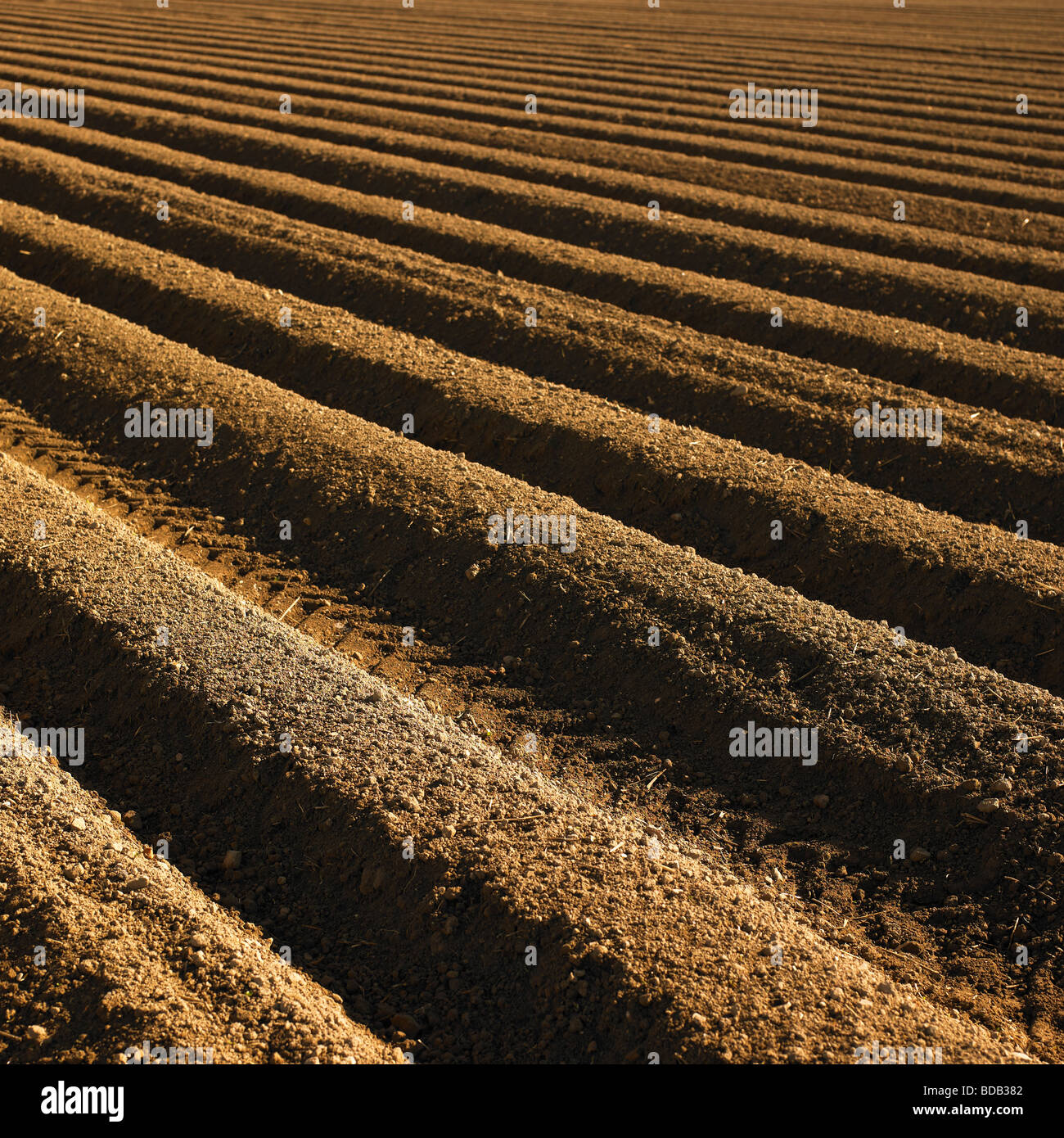 Ploughed field hi-res stock photography and images - Alamy
