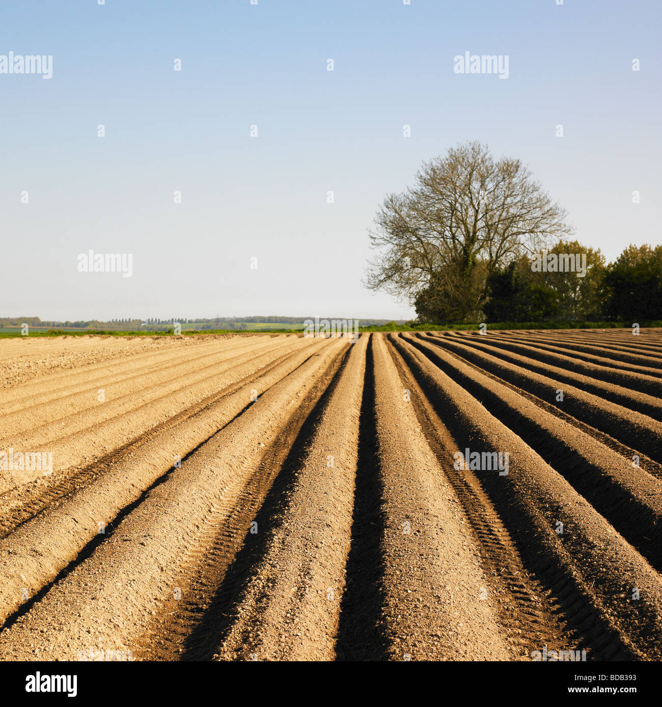 Ploughed Field in Early Spring Stock Photo - Alamy