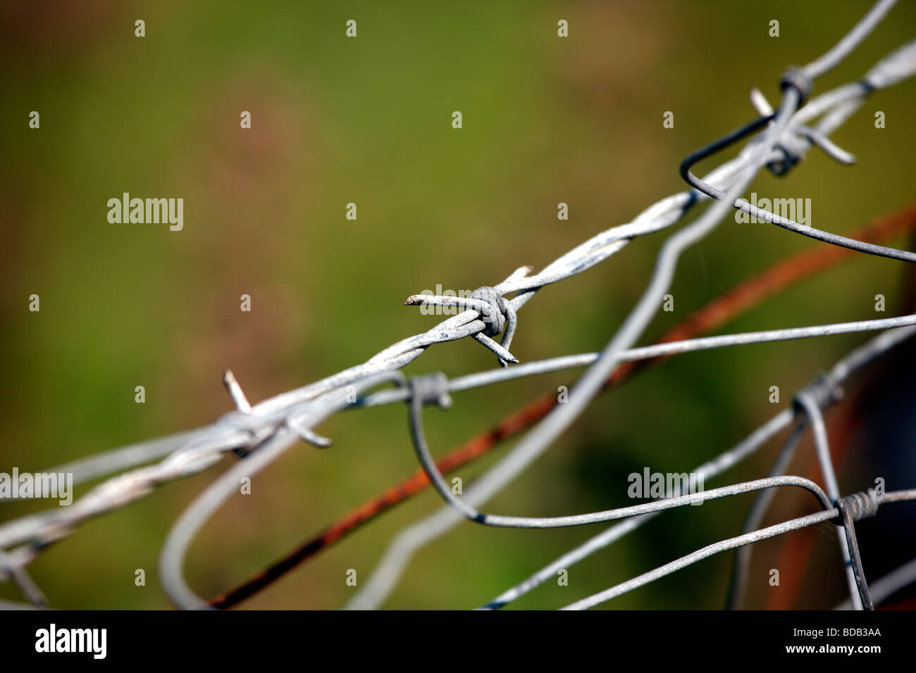 Barbed wire fence Stock Photo - Alamy