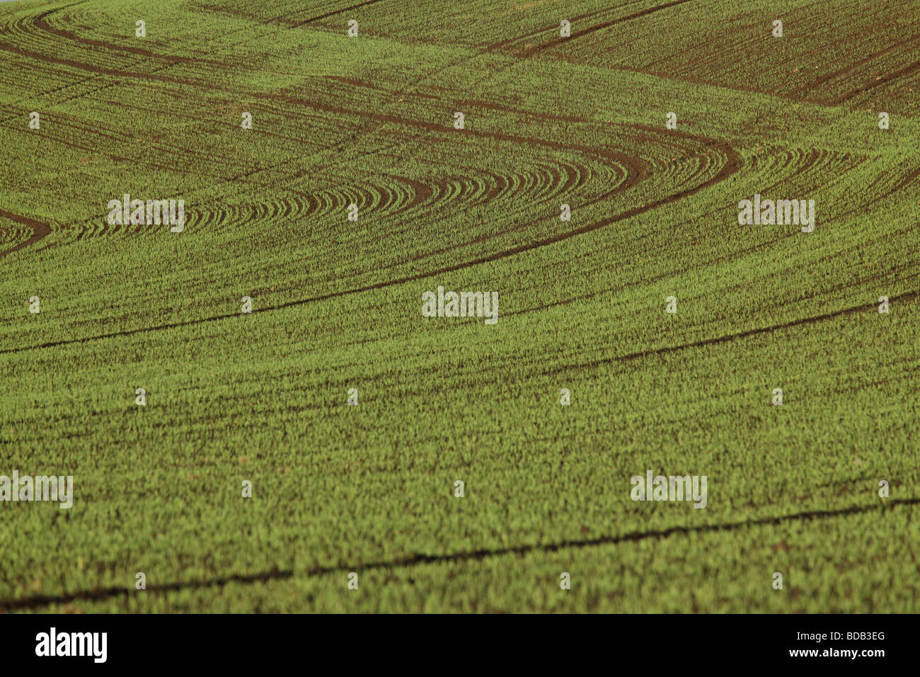 Uk farm crops hi-res stock photography and images - Alamy